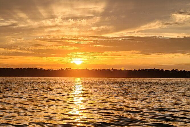 Private Dolphin Boat Tour in Hilton Head Island - Why This Tour Stands Out