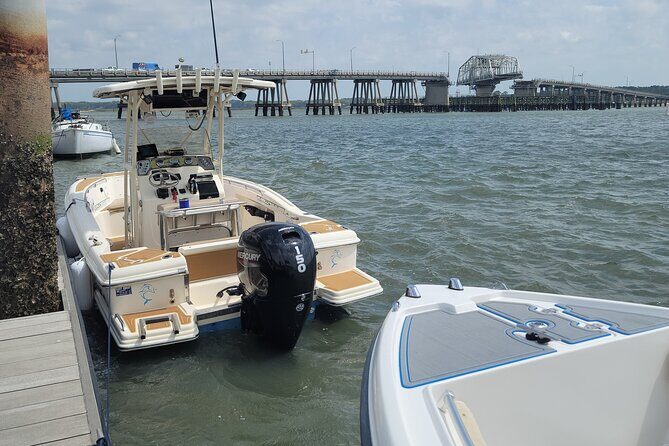 Private Dolphin Boat Tour in Hilton Head Island - Authentic Experiences and Practical Tips