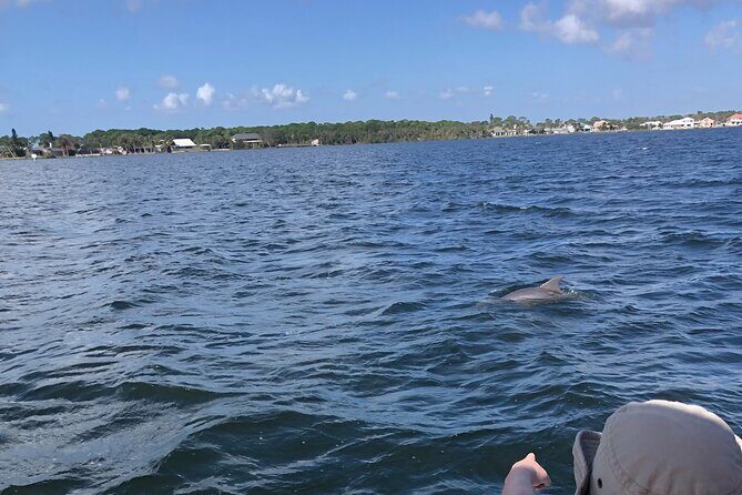 Private Dolphin Catamaran Sail In Cocoa Beach - Cost & Value: Is It Worth It?