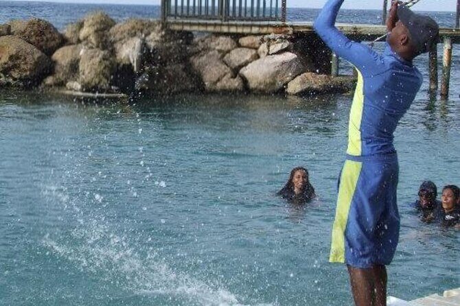 Private Dolphin Cove Adventure - Analyzing Value and Cost