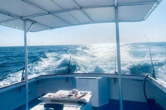 Private Dolphin Cruise in Panama City Beach - Key Points