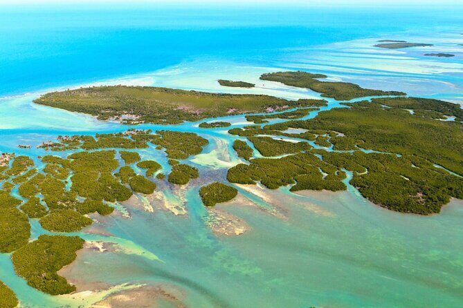 Private Dolphin Playground Safari - Discovering the Dolphin Playground in Key West