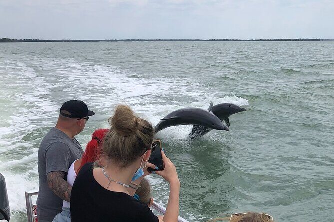 Private Dolphin, Shelling and Birding Tour - The Sum Up