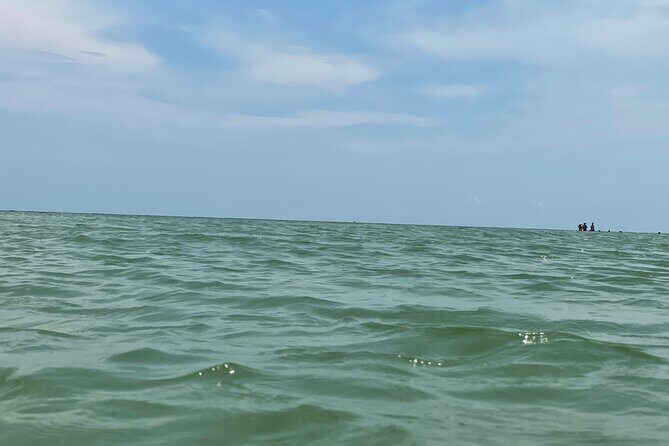 Private Dolphin & Sightseeing Boat Day Tour - Return & Reflection