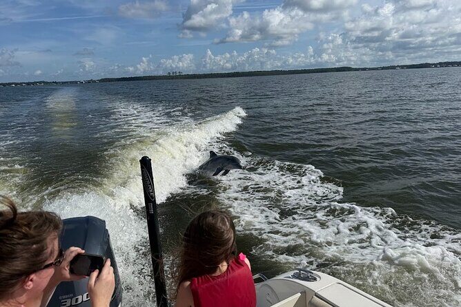 Private Dolphin Sightseeing Excursion - Frequently Asked Questions (FAQs)