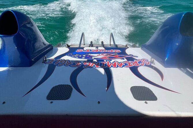 Private Dolphin Spotting Thrill Ride in Destin - Analyzing the Value: Price and Experience