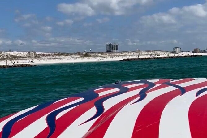 Private Dolphin Spotting Thrill Ride in Destin - Who Will Love This Tour?