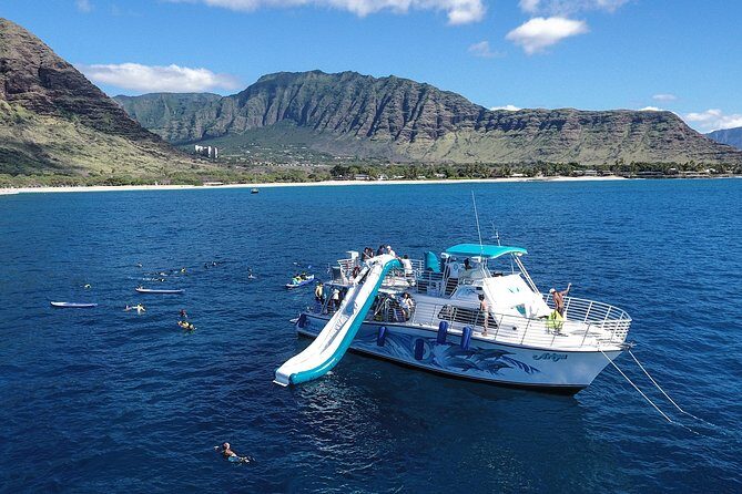 Private Dolphin Swim with Slide for up to 15 Passengers - Introduction: Who This Tour Is For