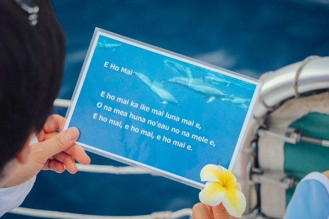Private Dolphin Swim with Slide for up to 15 Passengers - FAQ
