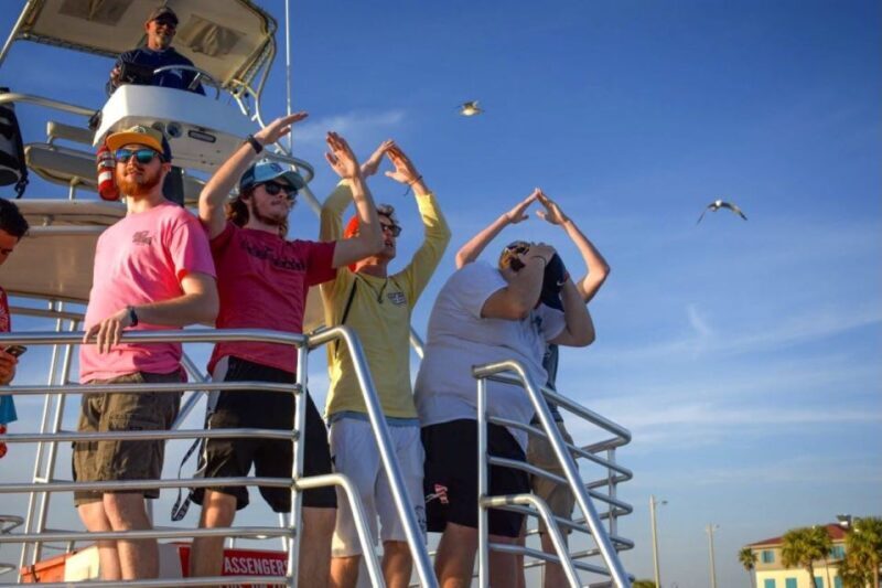 Private Dolphin Tour with Secluded Beach/Snorkel Stop - The Experience Provider and Booking Details