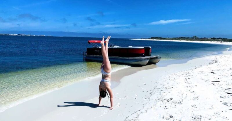 Private Dolphin Tour with Secluded Beach/Snorkel Stop - Final Thoughts