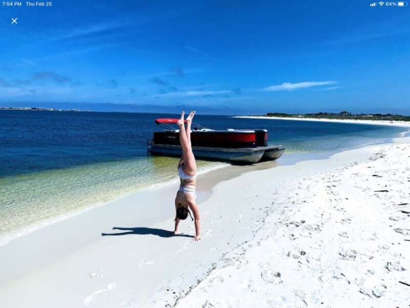 Private Dolphin Tour with Secluded Beach/Snorkel Stop - An Authentic, Family-Friendly Marine Adventure