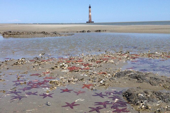 Private Dolphin Watch, Lighthouse and Ecological Boat Tours - Key Points