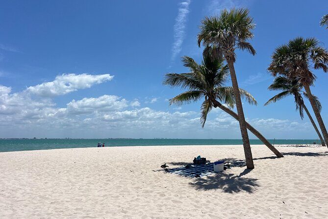 Private Dolphin Watching Beach Day Getaway - Beaches and Shelling