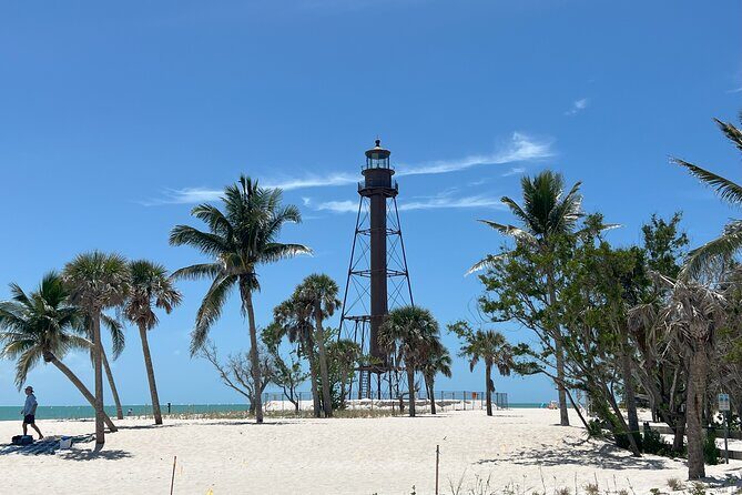 Private Dolphin Watching Beach Day Getaway - Pricing and Value