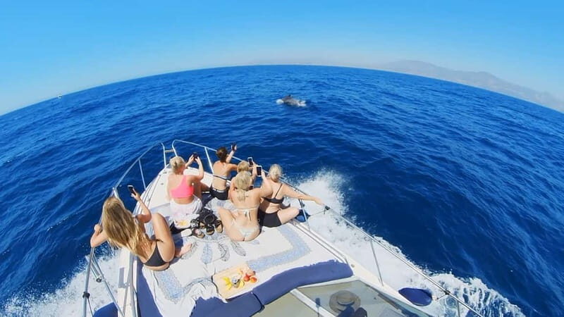 PRIVATE DOLPHIN WATCHING SUNSEEKER WITH DRINKS ON FUENGIROLA - What To Expect: Onboard Comfort and Marine Encounters