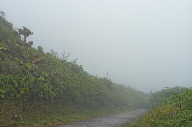 Private Dominica Tour to Trafalgar Falls &Titou Gorge via Minibus - Final Thoughts