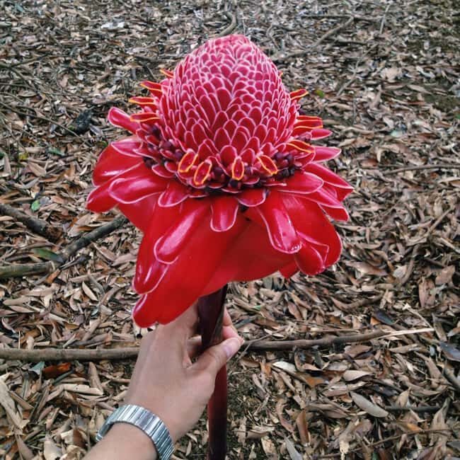 Private: Dominican Highlands & Taino Culture Day Trip - FAQ