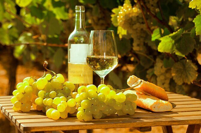 Private Double Wine Tasting Tour in Frascati - Exclusive - Key Points
