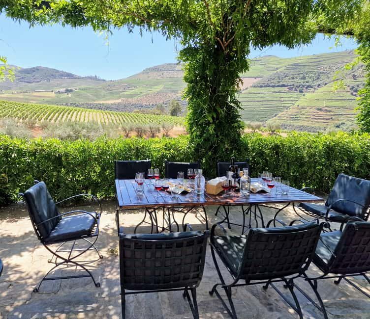 Private Douro Luxury,Private Boat,Wine,visits, 5 Stars Lunch - Analyzing Value and Cost