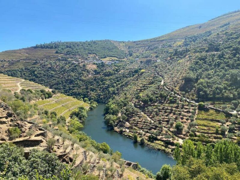 Private Douro Luxury,Private Boat,Wine,visits, 5 Stars Lunch - The Sum Up: Who Is This Tour Best For?
