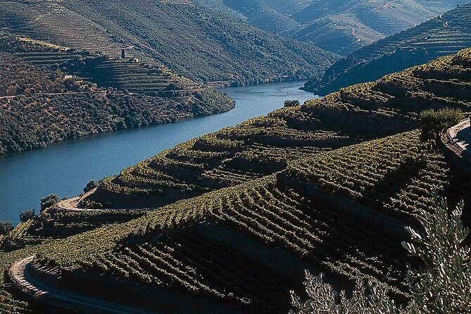 Private Douro Valley Tour Includes Wine Tasting and Boat Tour - The Practicalities: What You Should Know