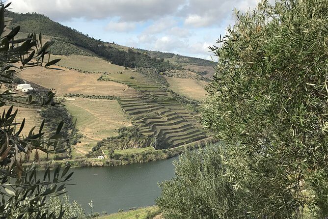 Private Douro Valley Tour Includes Wine Tasting and Boat Tour - Who Will Love This Tour?
