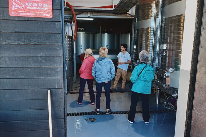Private Douro Valley Tour with Sommelier, Lunch and Wine Tasting - Flexibility and Customization