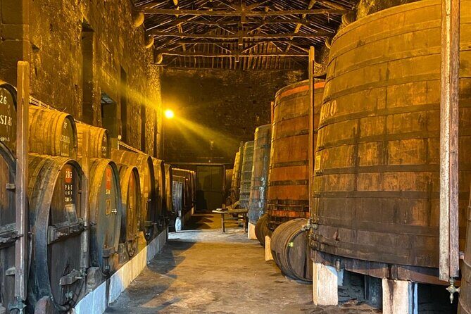 Private Douro Valley Tour with Yacht, Wine tasting and Lunch - Key Points