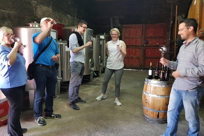 Private Douro Valley visit to three vineyards with Lunch from Porto - Who Should Book This Tour?