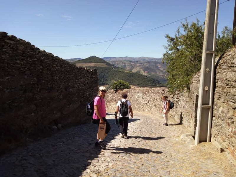Private Douro Wine Experience - Full Day in the Douro Valley - Final Thoughts: Who Should Choose This Tour?