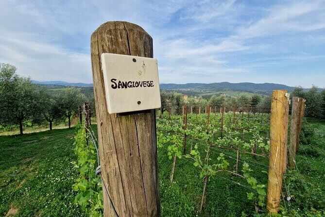 Private driver Florence Wine Tour countryside of Tuscany 7 hours - What It Means for You