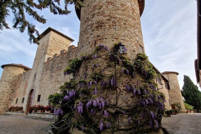 Private driver Florence Wine Tour countryside of Tuscany 7 hours - An In-Depth Look at the Tuscany Private Wine Tour