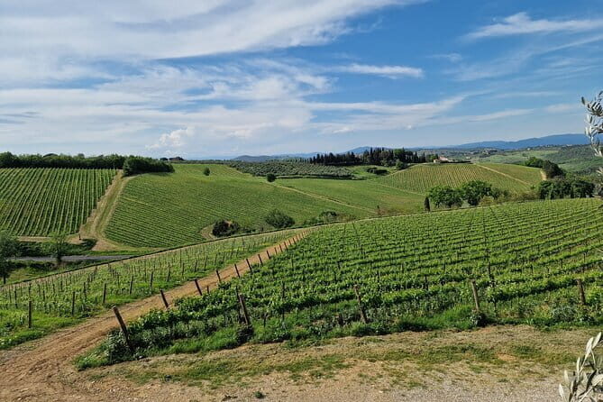 Private driver Florence Wine Tour countryside of Tuscany 7 hours - Who Will Love This Tour?