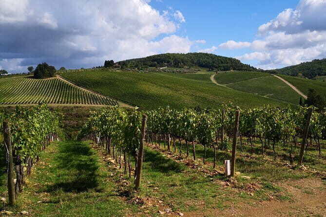 Private driver Florence Wine Tour countryside of Tuscany 7 hours - FAQs