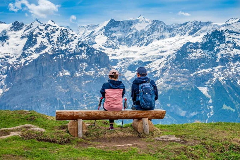 Private driver for tour from Zurich to Jungfraujoch and back - Transportation & Comfort