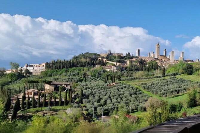 Private driver from Florence: Siena, San Gimignano, Pisa 12 hours - Analyzing the Cost and Value