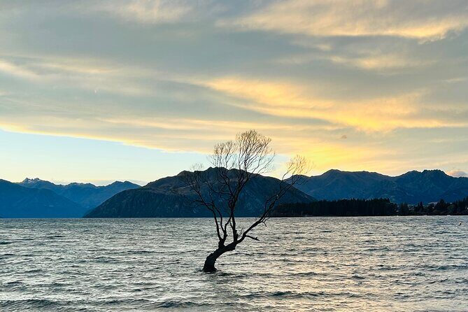 Private Driver Hire  Full-Day Touring Anywhere in New Zealand - Key Points