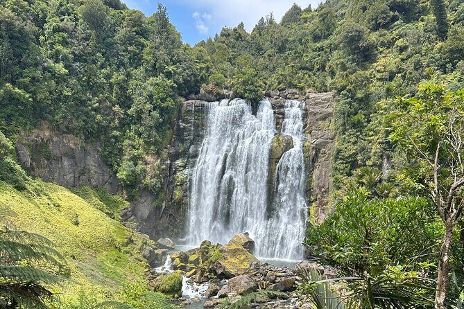 Private Driver Hire  Full-Day Touring Anywhere in New Zealand - A Deep Dive into the Private Driver Experience