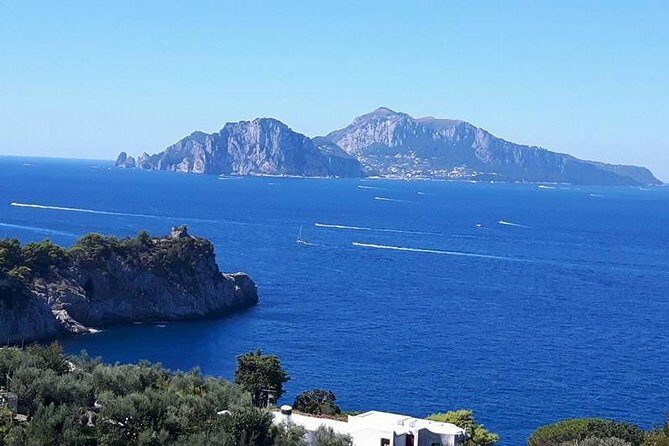 Private Driver VIP Tour of Sorrento & its food delicacies - Exploring the Itinerary: What You Can Expect