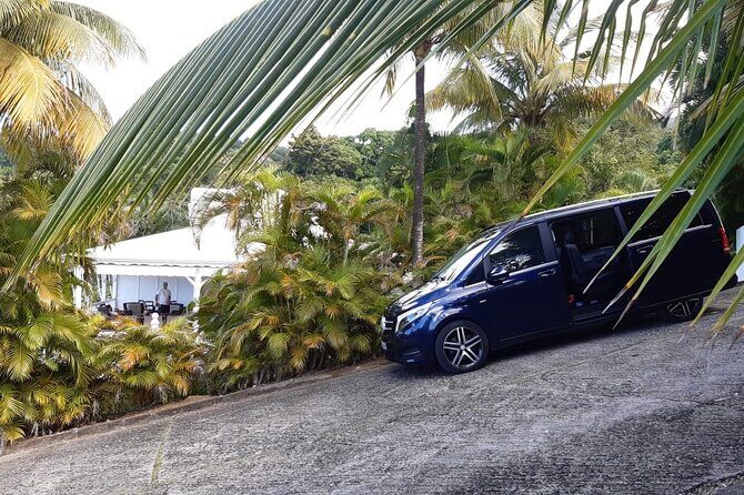 Private Drivers At Disposal | Guadeloupe - The Sum Up