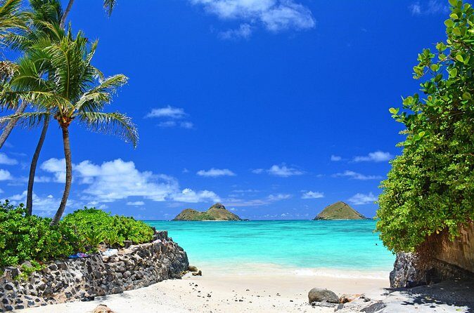 Private Driving Tour of Oahu Scenic South Shore - Key Points