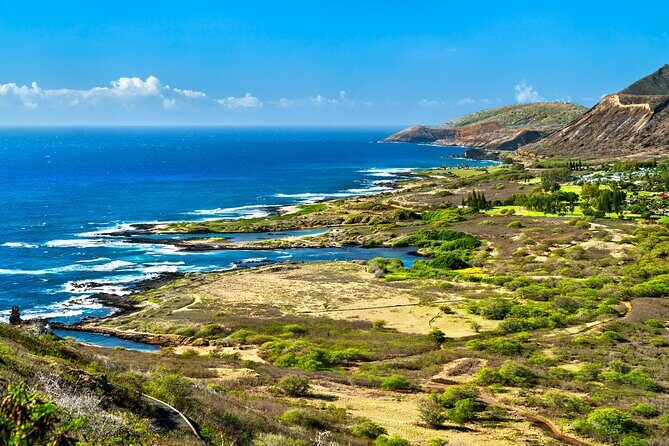 Private Driving Tour of Oahu Scenic South Shore - What Makes This Tour Stand Out?