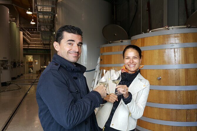 Private Driving Wine Tour (full day) in the Marlborough Region - Serious about Marlborough wines? Here’s a thorough look at the private full-day wine tour