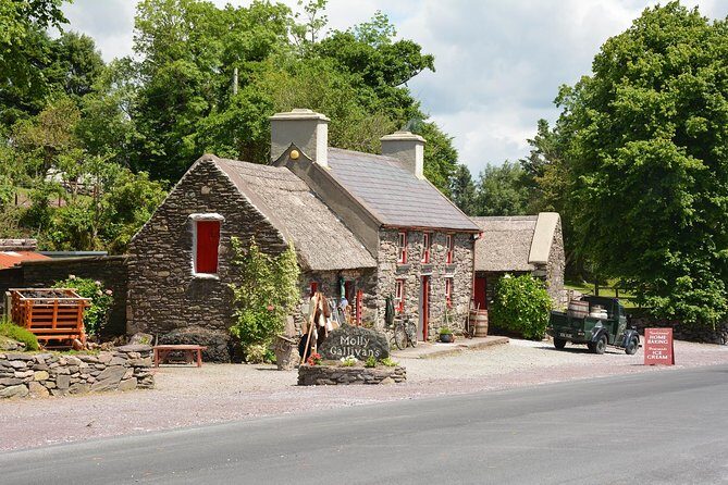 Private Dublin Tour for Families with a Local, 100% Personalized - An In-Depth Look at the Dublin Family Tour