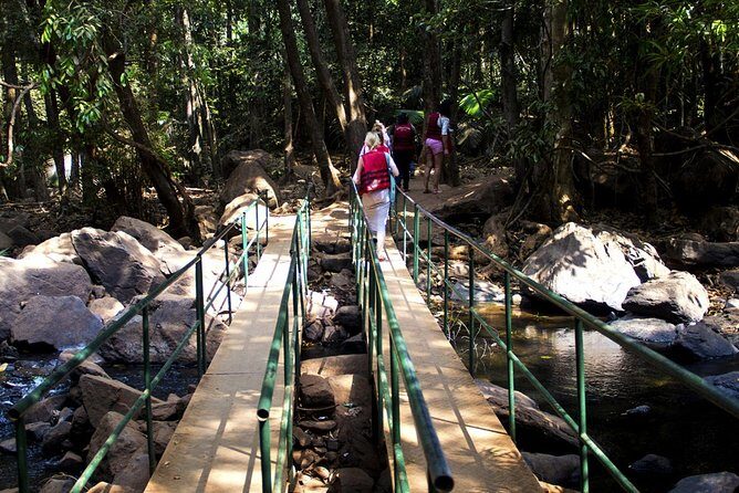 Private Dudhsagar waterfalls & Spice Plantation with Lunch from Mormugao Port - An In-Depth Look at the Tour Experience
