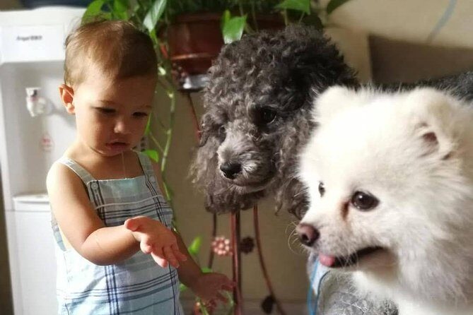 Private Dumpling Cooking Class in Xi'an Local Family - Introduction