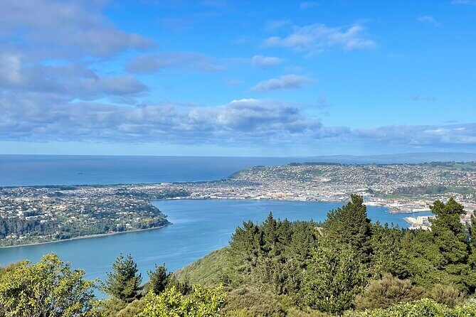 Private Dunedin & Otago Peninsula Day Tour Up to 4 - What’s Included & What’s Not