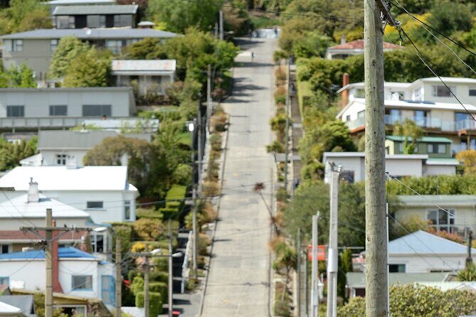 Private Dunedin & Otago Peninsula Day Tour Up to 4 - FAQ
