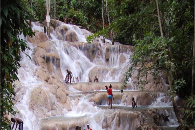 Private Dunn River Falls and Park Tour from Montego Bay - A Closer Look at the Tour Experience